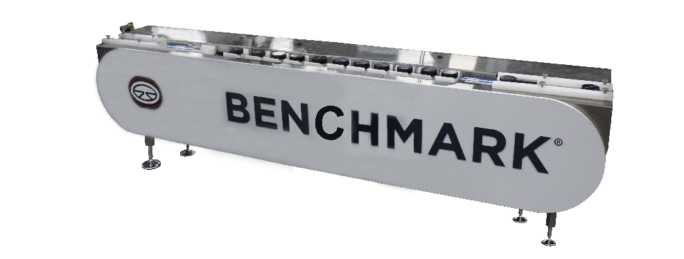 Automated Loading & Wrapping Equipment - Infeeds | Benchmark