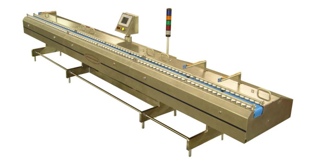 Automated Loading & Wrapping Equipment - Infeeds | Benchmark