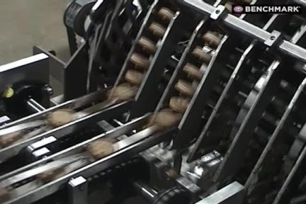 Slug Loader for Sandwich Cookie Trays | Automatic Tray Loading, Loader ...